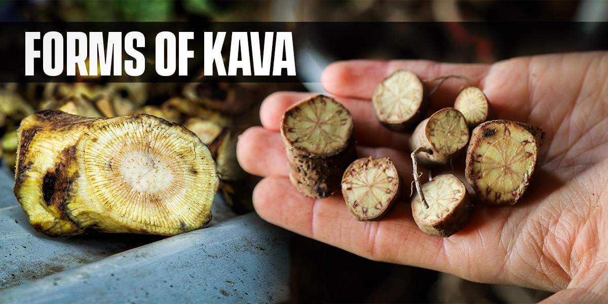 Kava And It’s 6 Powerful Usages – Black Label Hemp