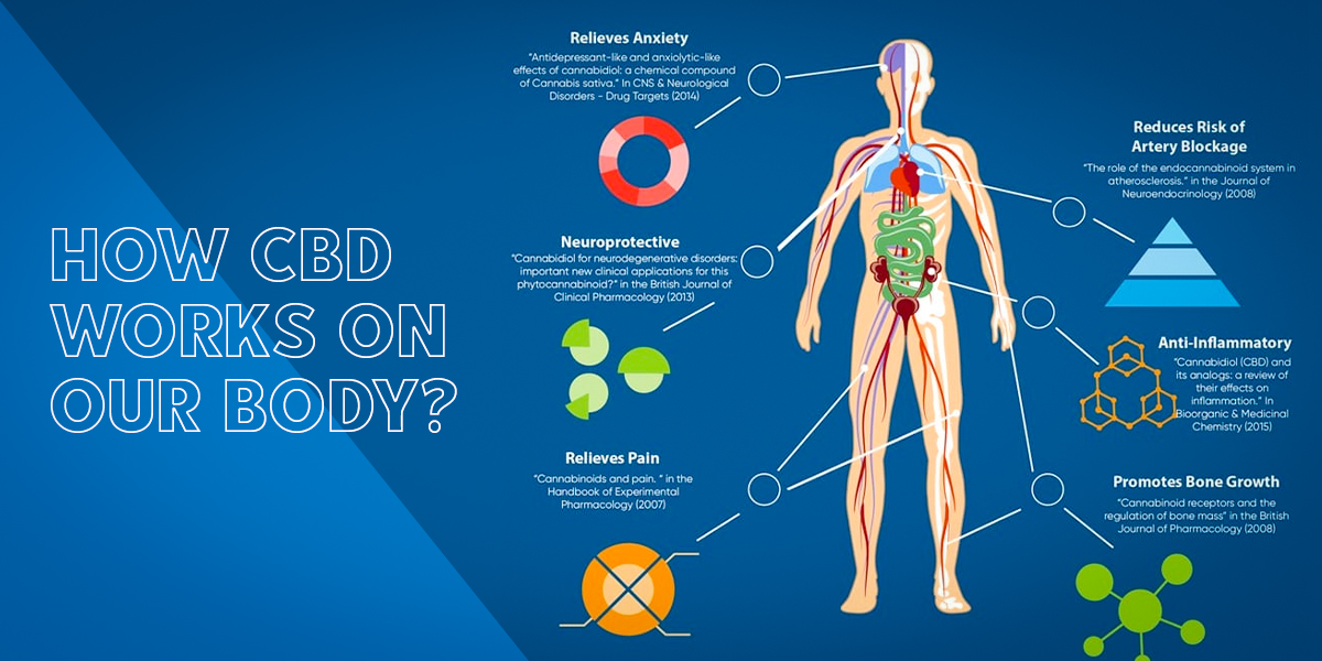 How old you have to be to buy cbd? [CBD Age]